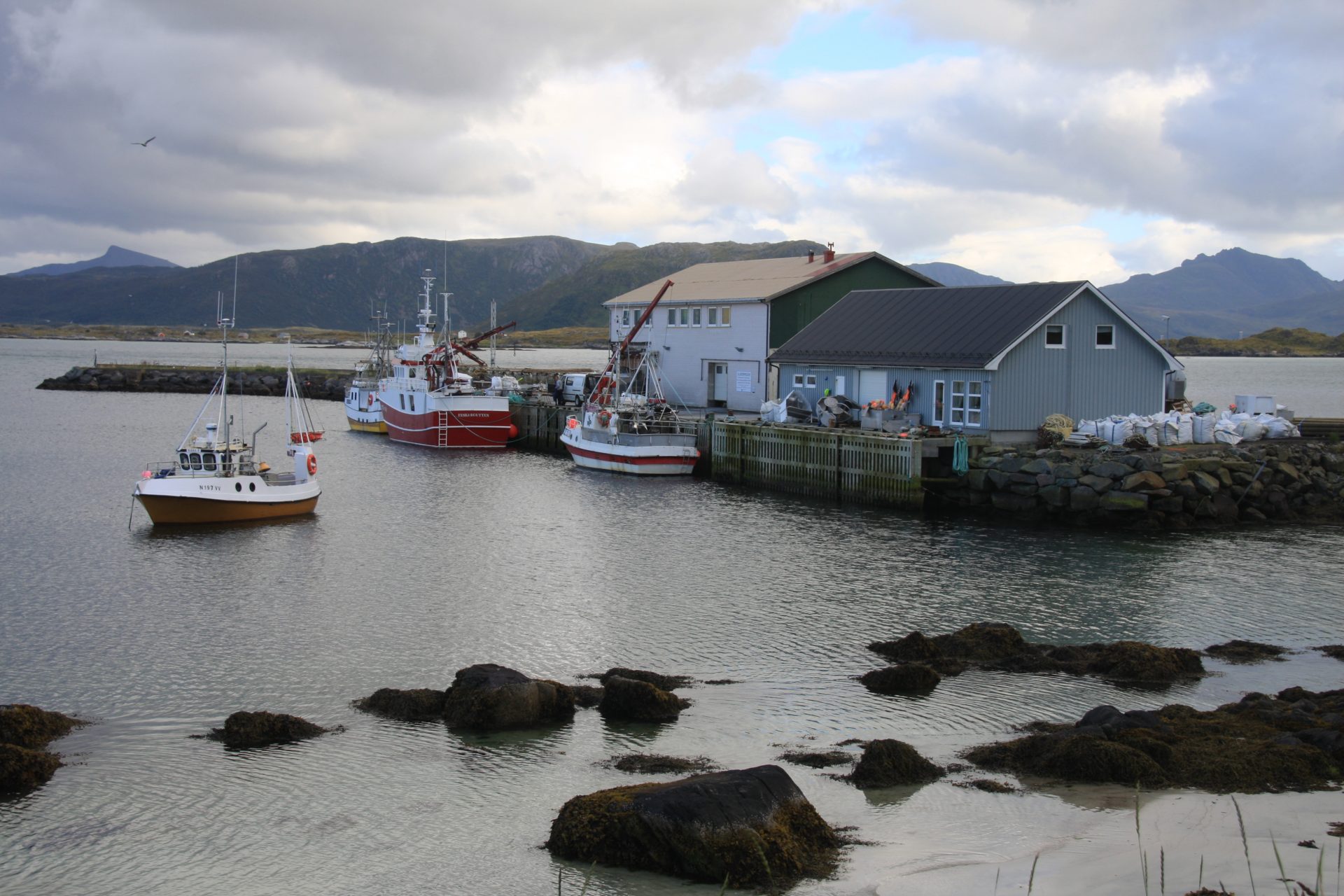 Eggum havn - Lofoten Havn